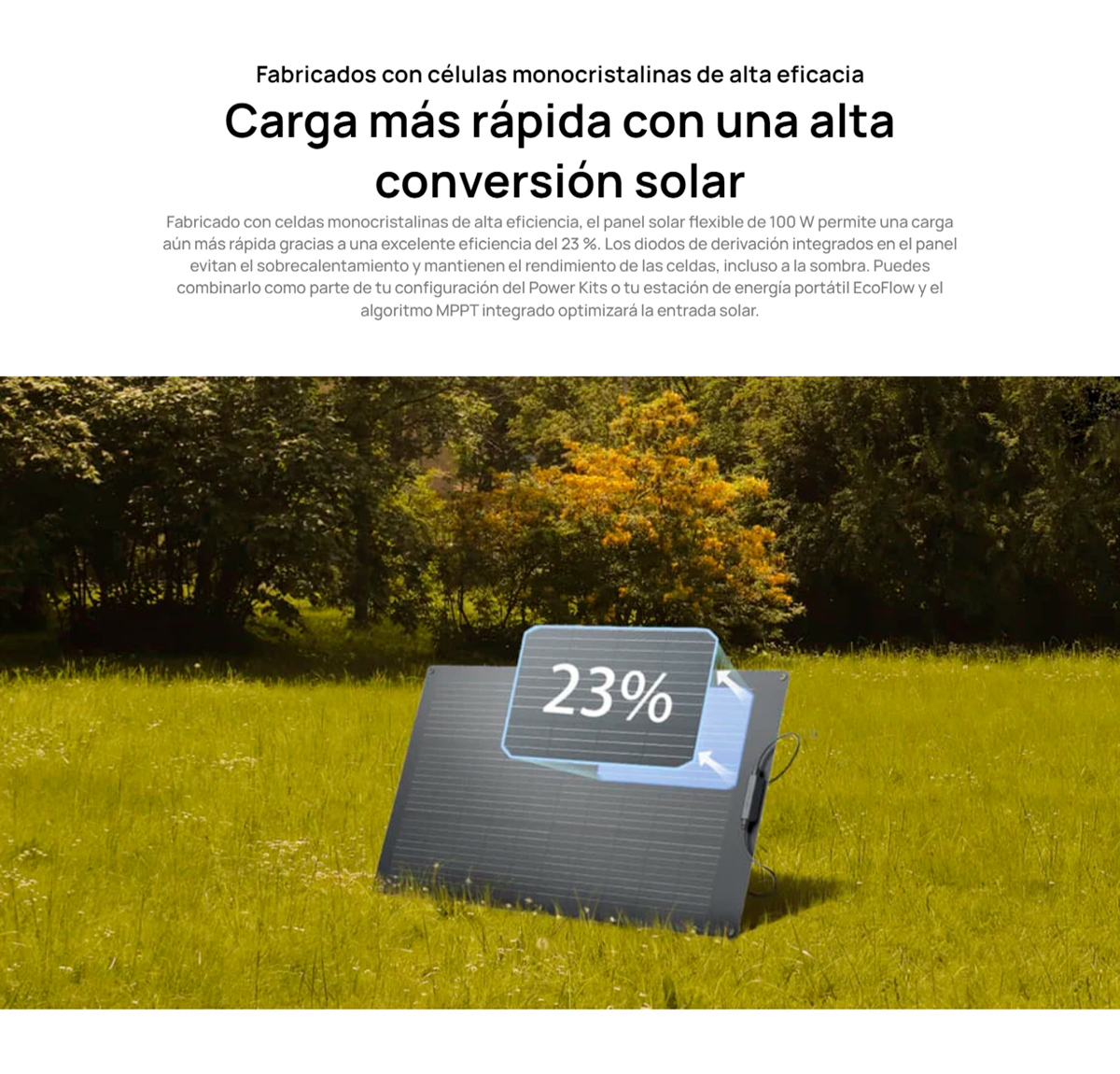 Panel solar flexible 100W | Ecoflow Perú